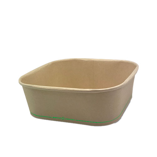 Biopbs Coated Bamboo Paper Square Container | 1000ml | Eco-Friendly ...