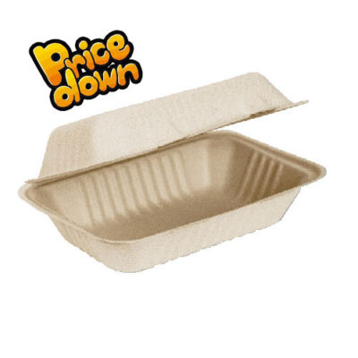 9x6x3″ Natural Sugarcane Clamshell Ctn/250 - FoodPackaging2U
